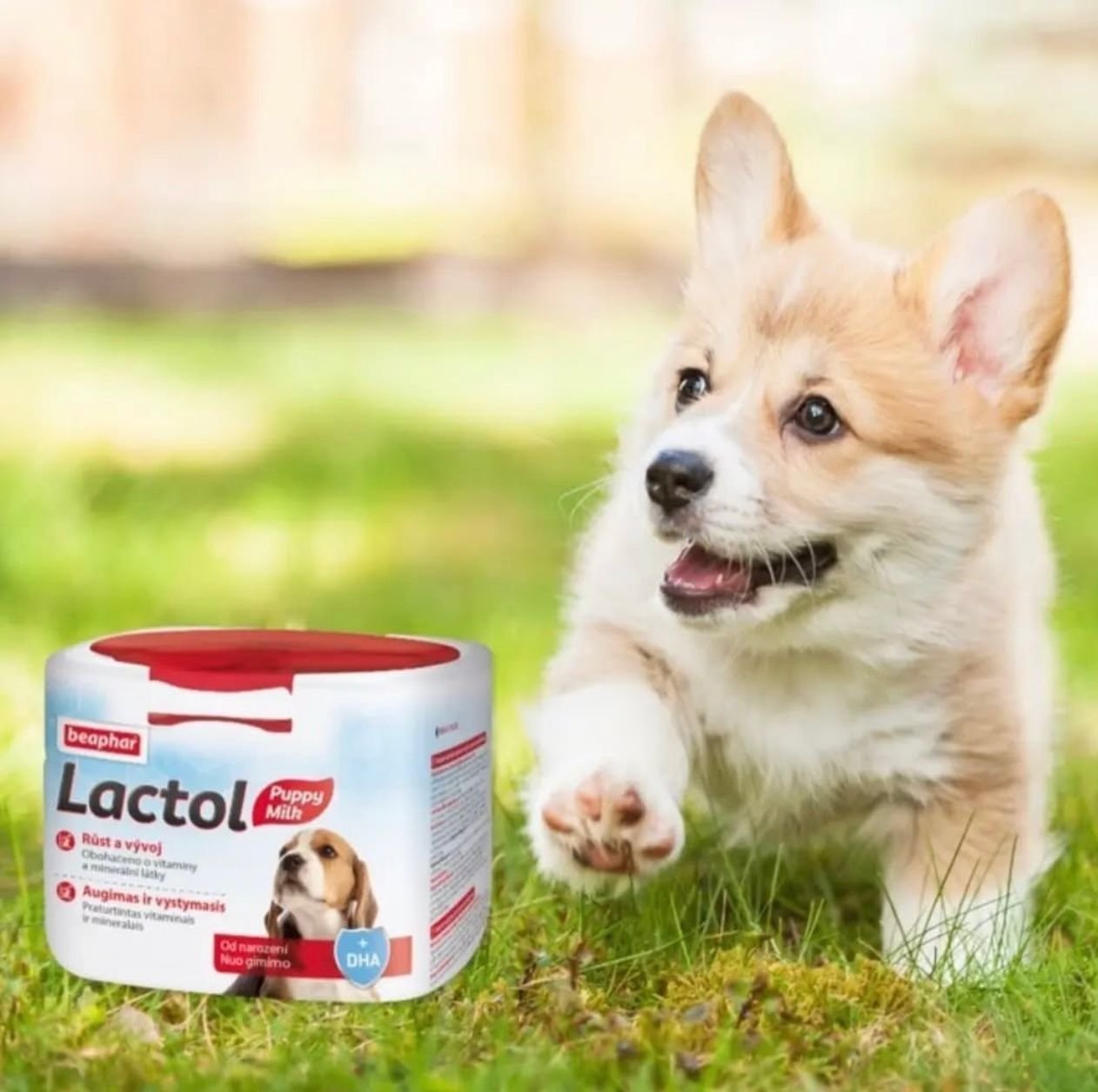 Lactol Dog 500Gr – Dr. Sanaa Vet Clinic